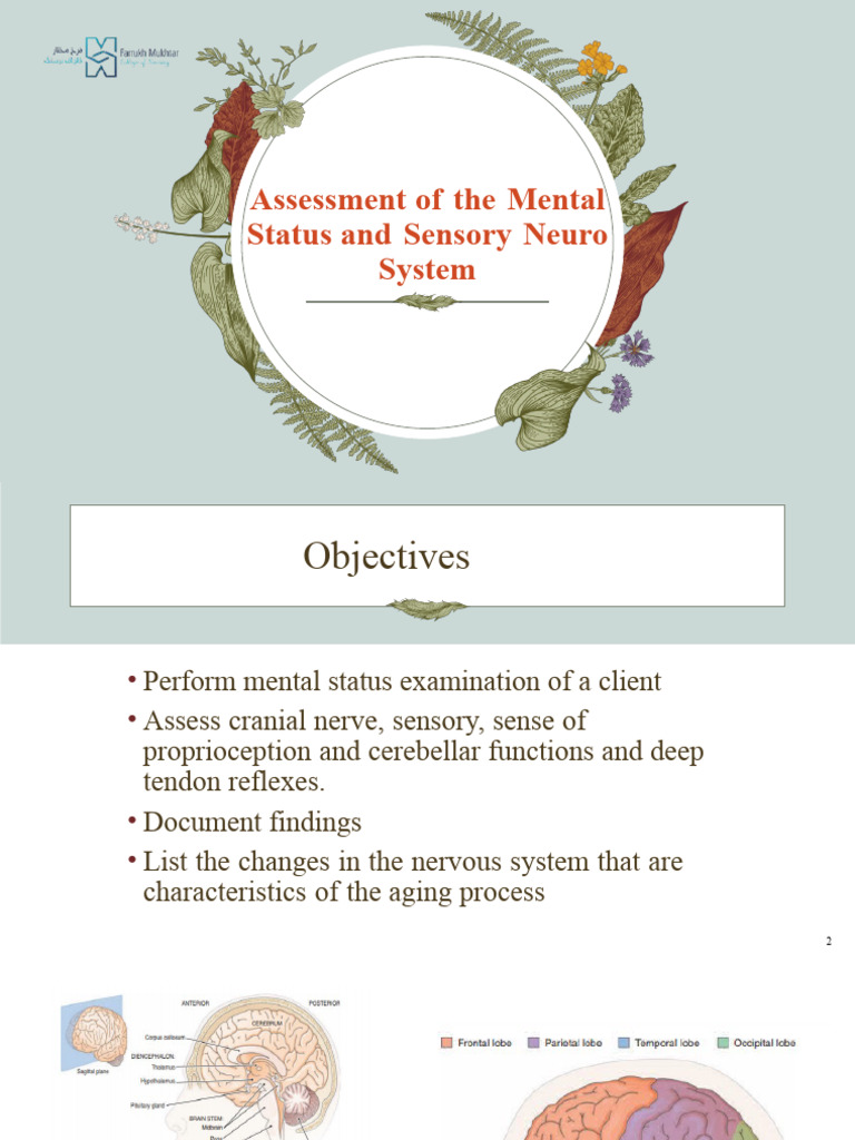 Assessment of Neuro | PDF | Somatosensory System | Balance (Ability)