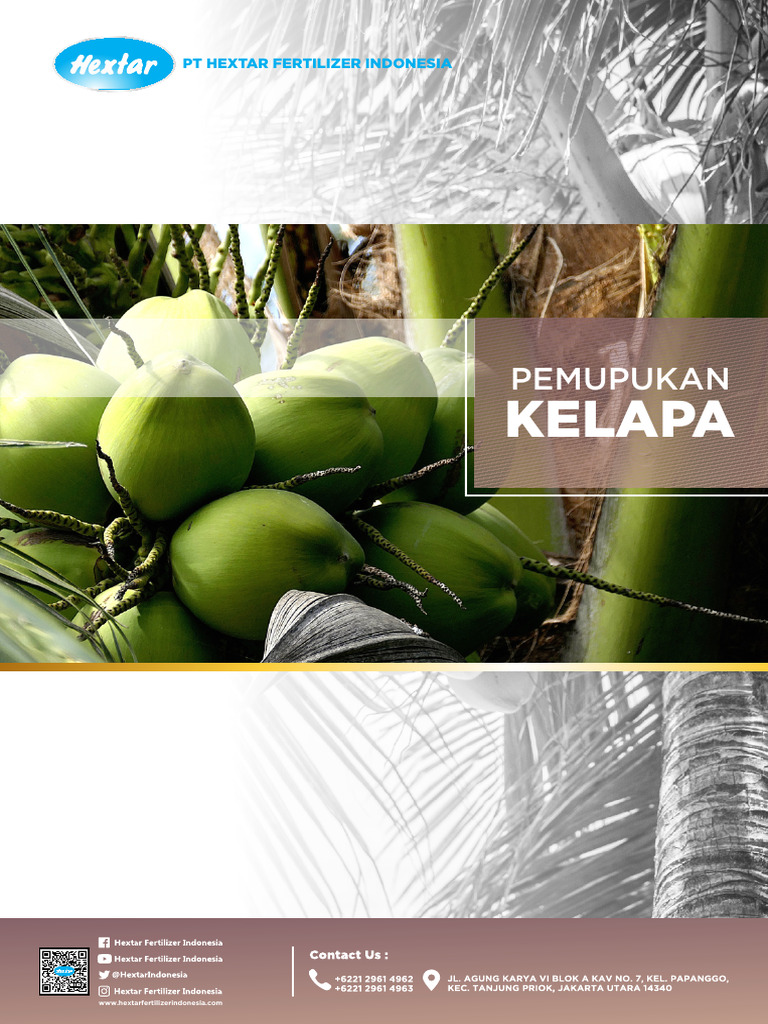 BROSUR PEMUPUKAN KELAPA - DGW Fertilizer | PDF