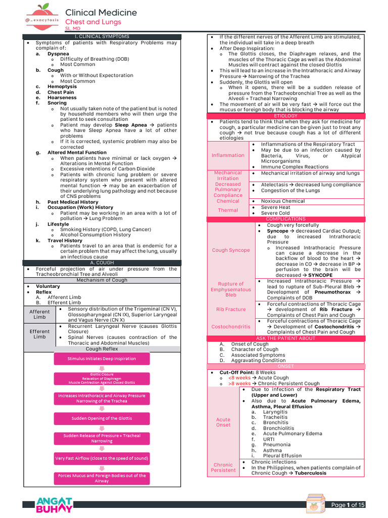 1 Chest and Lungs - PE 2 | PDF | Cough | Respiratory Diseases