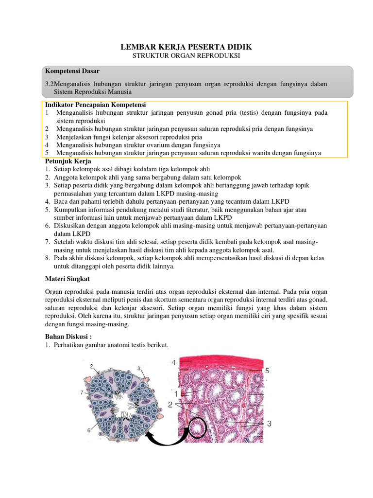 Struktur Organ Reproduksi | PDF