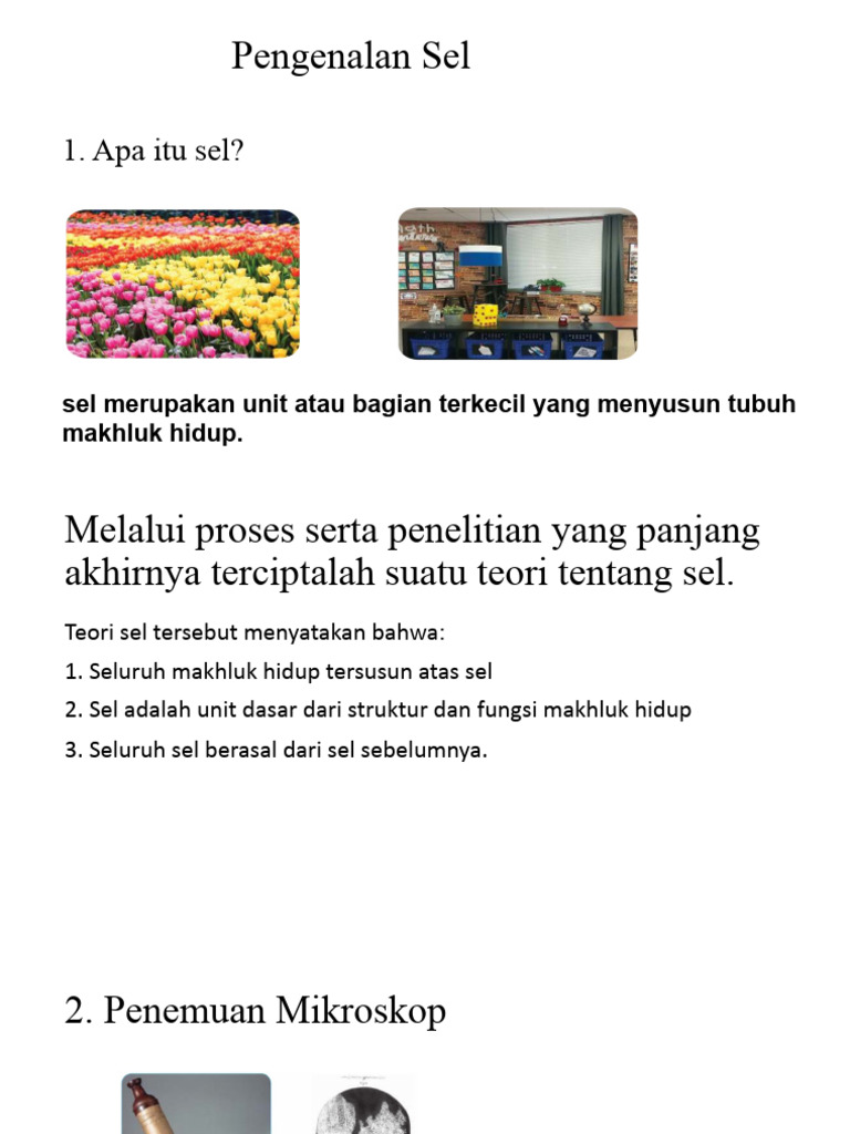 Pengenalan Sel Kelas 8 | PDF