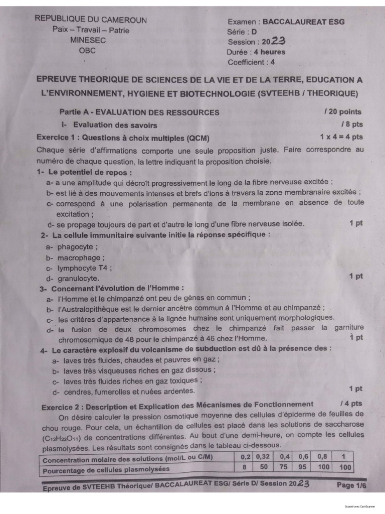 Svteehb Bac D 2023 | PDF