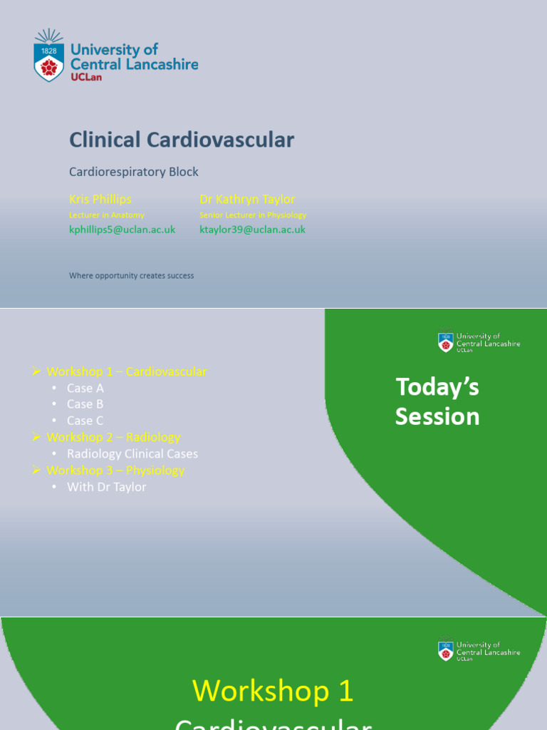 (24stu) Lab 2 - Clinical CVS | PDF | Electrocardiography | Atrium (Heart)