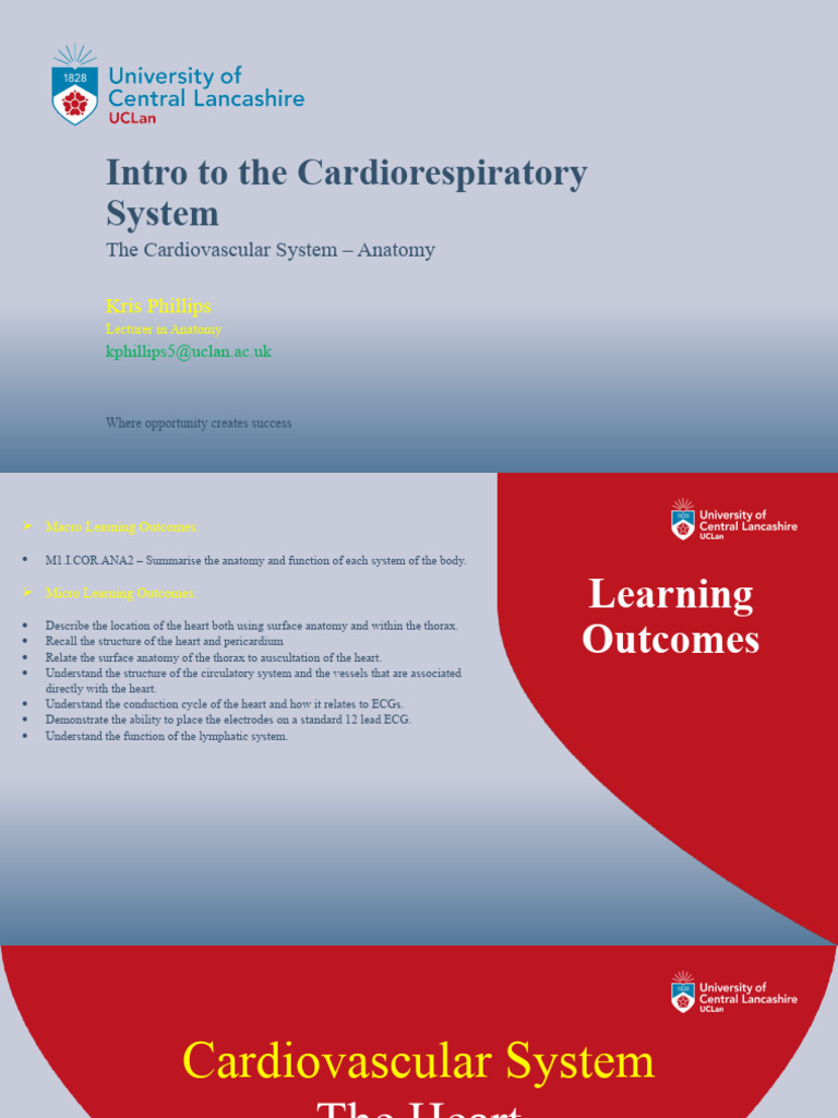 Intro To CVR - Cardiovascular & Lymphatics | PDF | Coronary Circulation ...