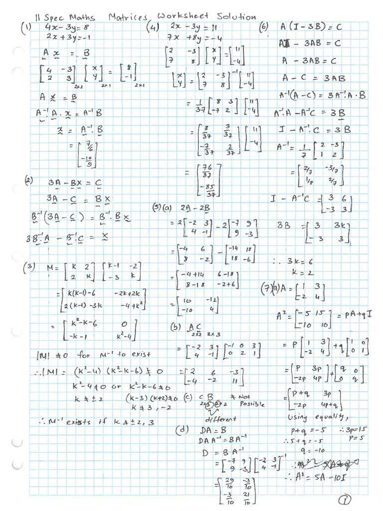 Matrices Worksheet Solution 12 | PDF