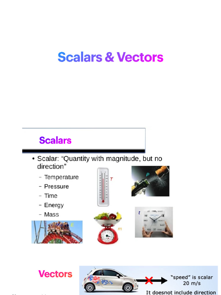 Scalar&Vectors | PDF