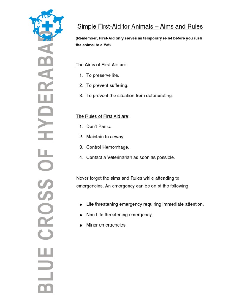 First Aid Guide | PDF | First Aid | Bleeding