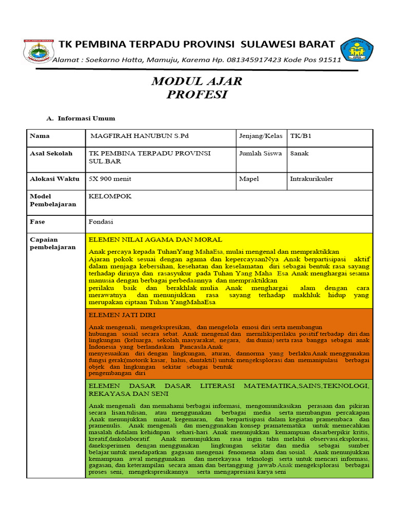 Modul Profesi | PDF | Kajian Bahasa Asing | Kesehatan Holistik