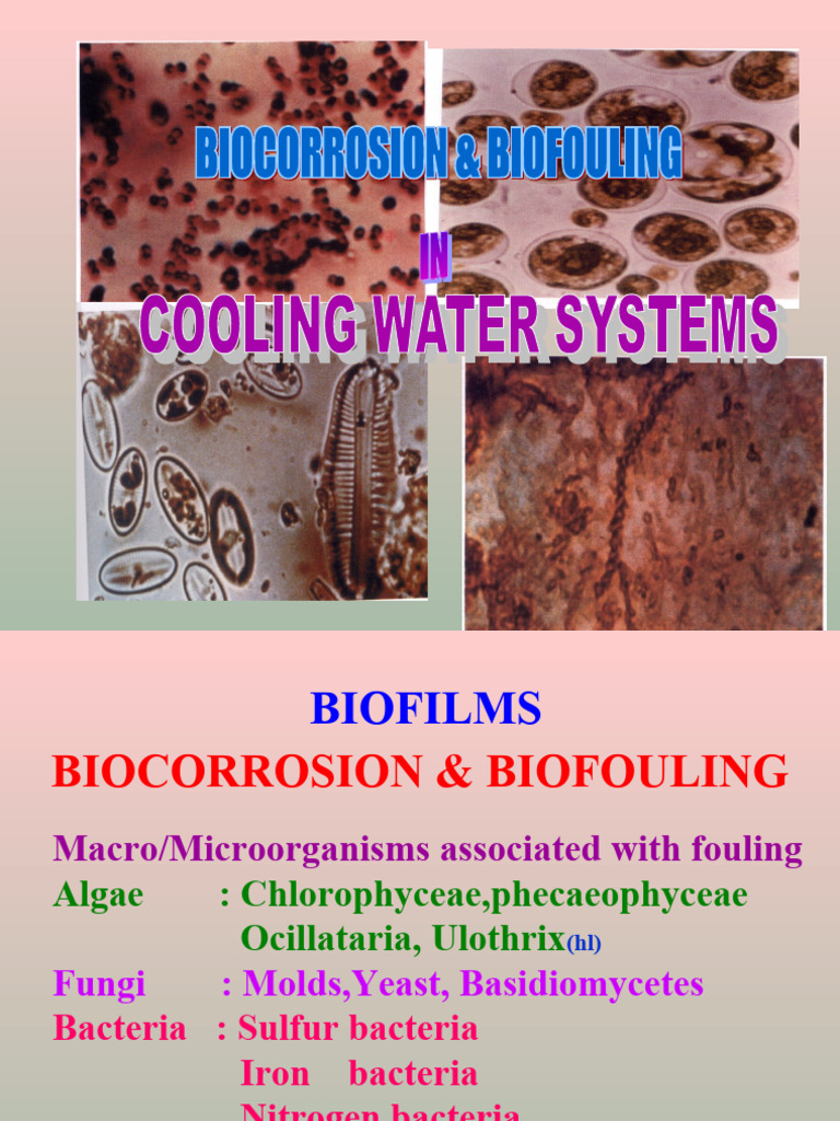 Bio Corrosion and Bio Fouling | PDF | Corrosion | Biofilm