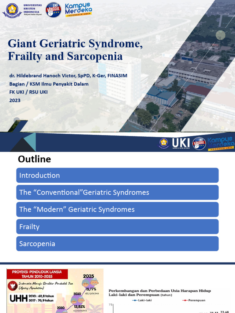 Giant Geriatric Syndrome | PDF | Geriatrics | Diseases And Disorders