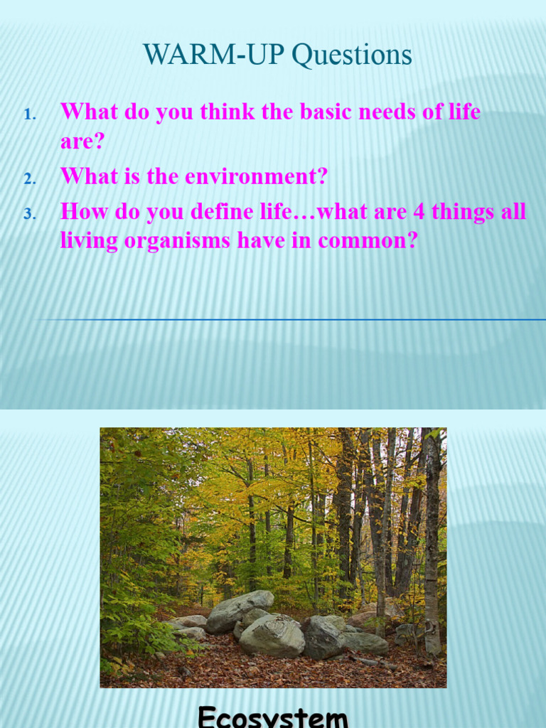 Ecosystem Pdf Food Web Ecosystem