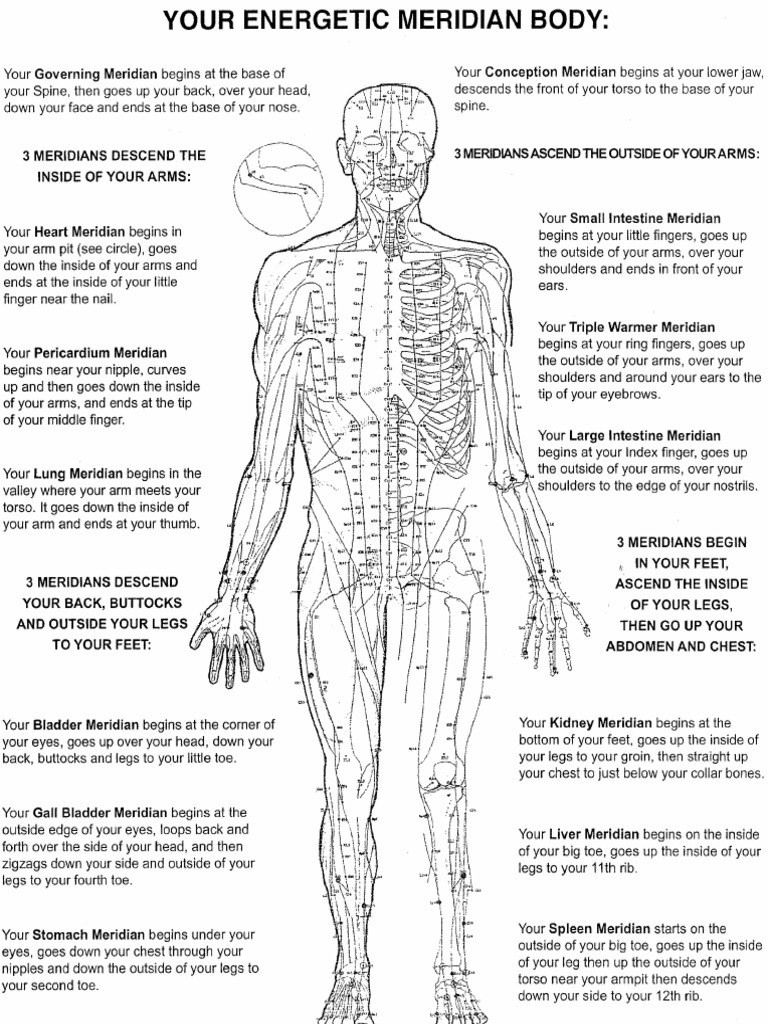 Energetic - Meridian Body | PDF