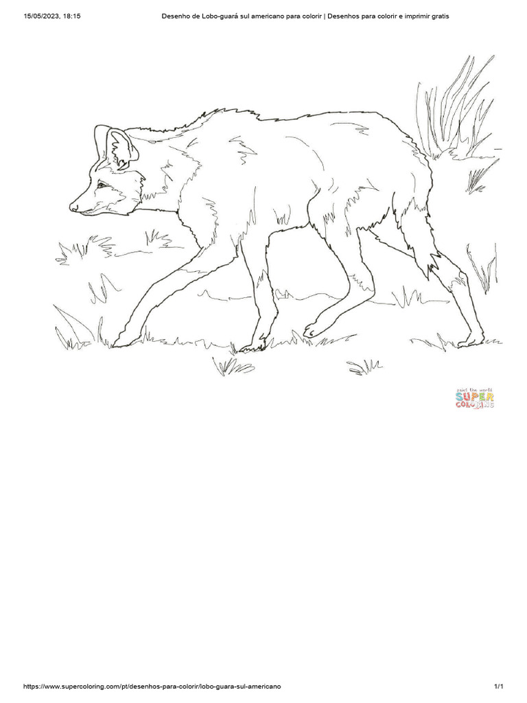 Desenho de Lobo-guará sul americano para colorir _ Desenhos para ...