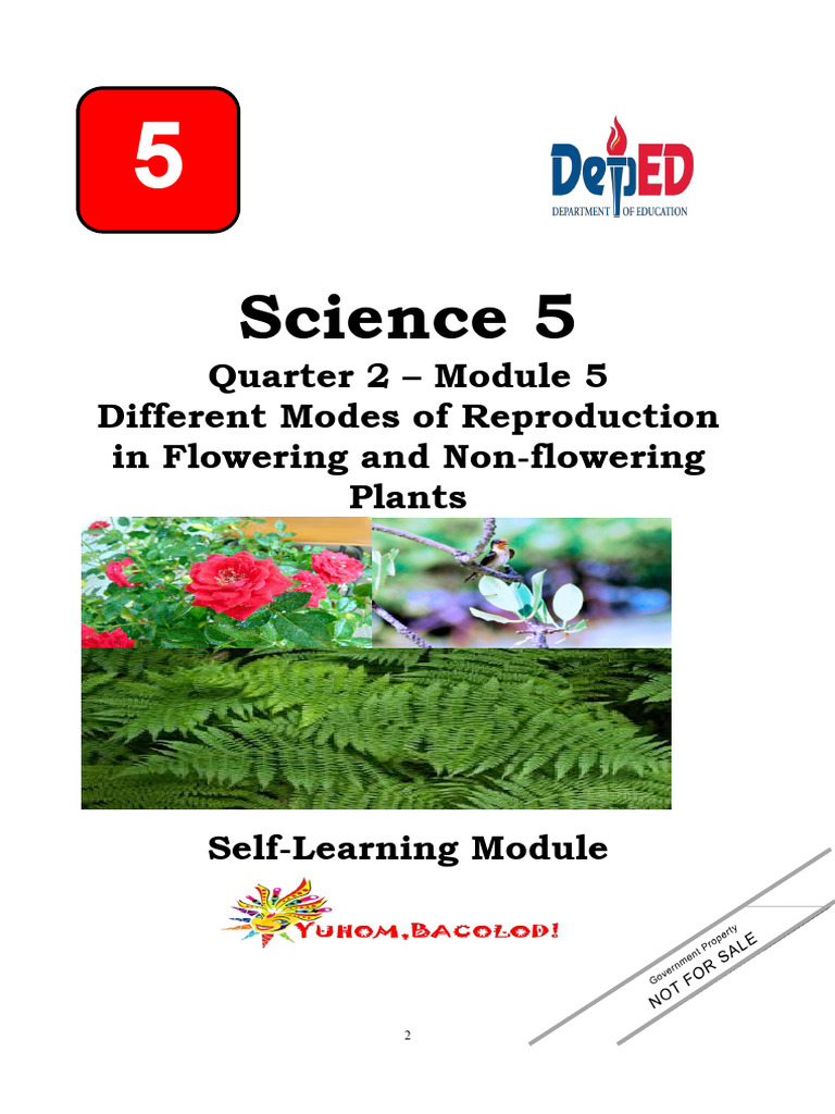 Grade5-SLM-Q2-Module5-Diff - Modes-of-Rep-in-Flowering-and-Non-Flowering-Plants | PDF | Plant ...