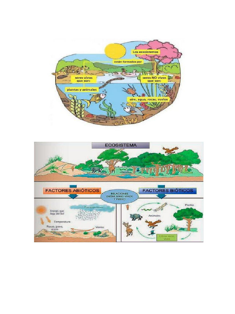 2024-05-06 Biótico y Ábiotico | PDF
