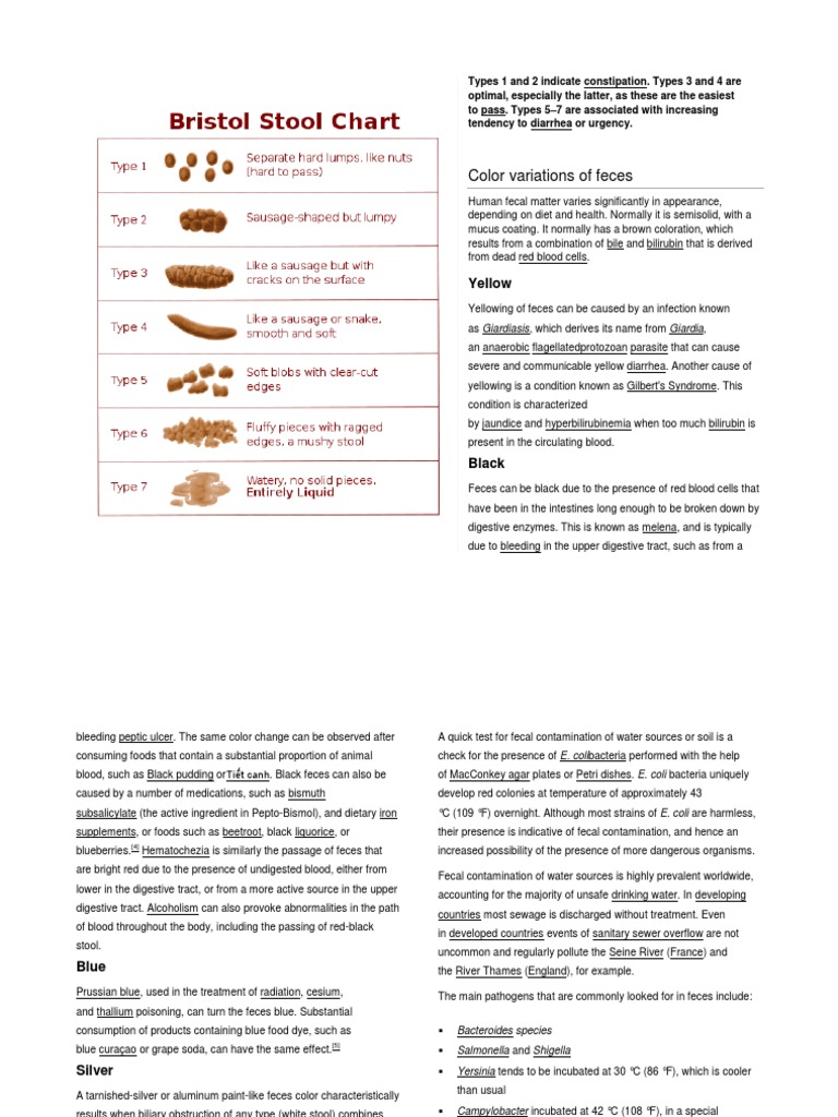 Color Variations of Feces: Yellow | PDF | Human Feces | Gastroenterology