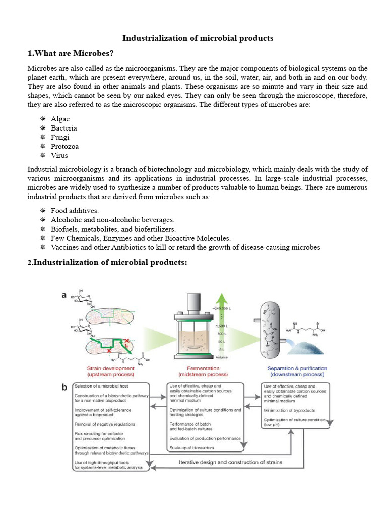 Industrial Microbial Product Development | PDF | Microorganism ...