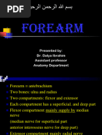 Membrum Superius (Forearm - Hand) | PDF | Thumb | Limbs (Anatomy)