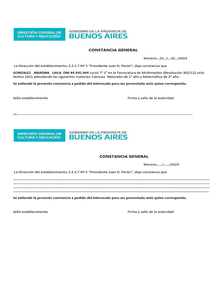 Constancia General 2023 | PDF