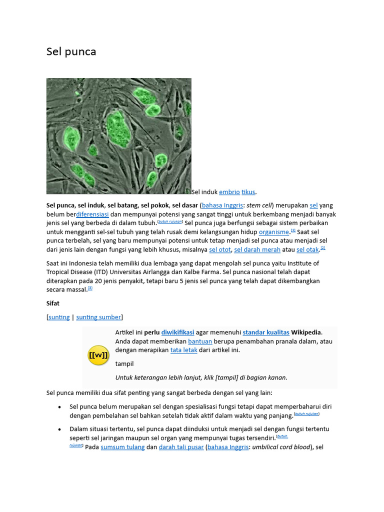 Sel Punca | PDF | Kesehatan Holistik | Sains & Matematika