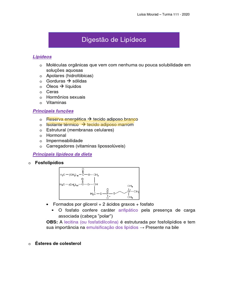 Digestão de Lipídeos: Funções e Processos | PDF | Lipídio | Ácido graxo