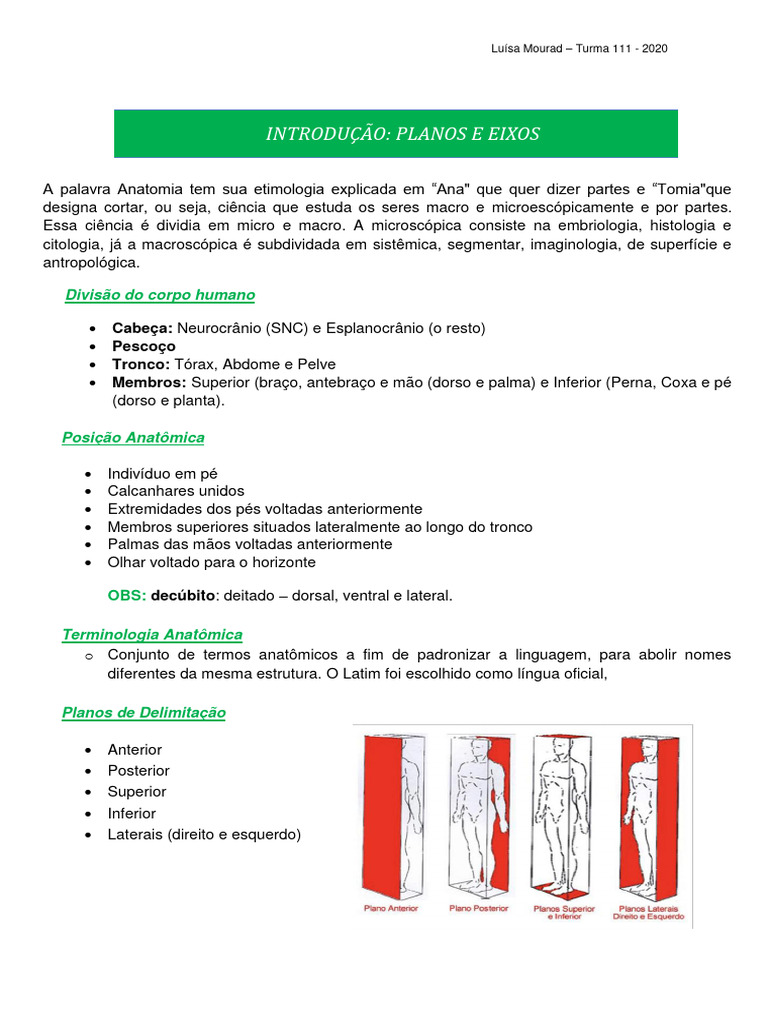 Aula 1 - Planos e eixos | PDF | Anatomia | Corpo humano