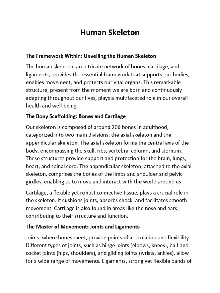 Human Skeleton | PDF | Skeleton | Bone