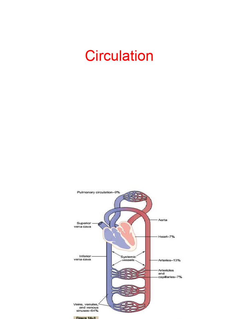 Presentation Circulation | PDF