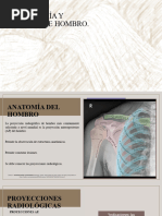 Tróclea - Qué Es, Significado, Ubicación, Función y Lesiones | PDF ...