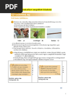 5b János Vitéz Témazáró | PDF