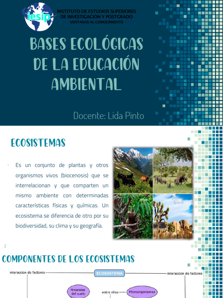 Bases Ecologicas de La Educación Ambiental | PDF | Ecosistema | Entorno natural