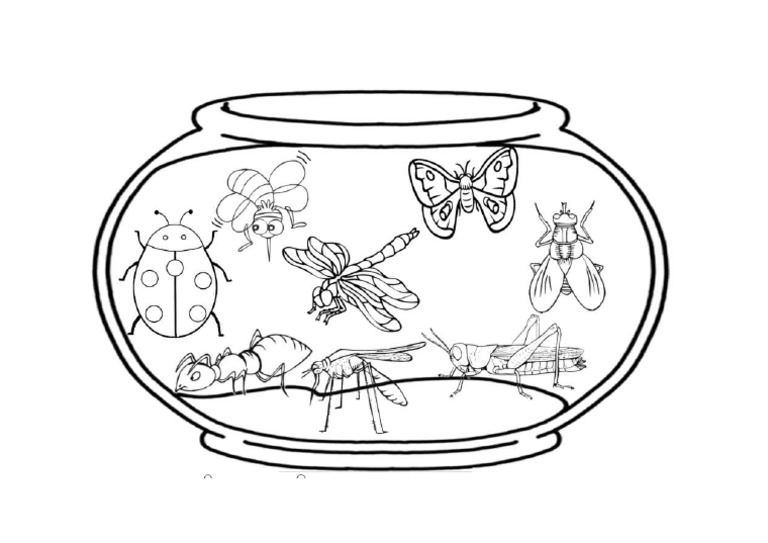 Lembaran Kerja Prasekolah Tema Serangga | PDF