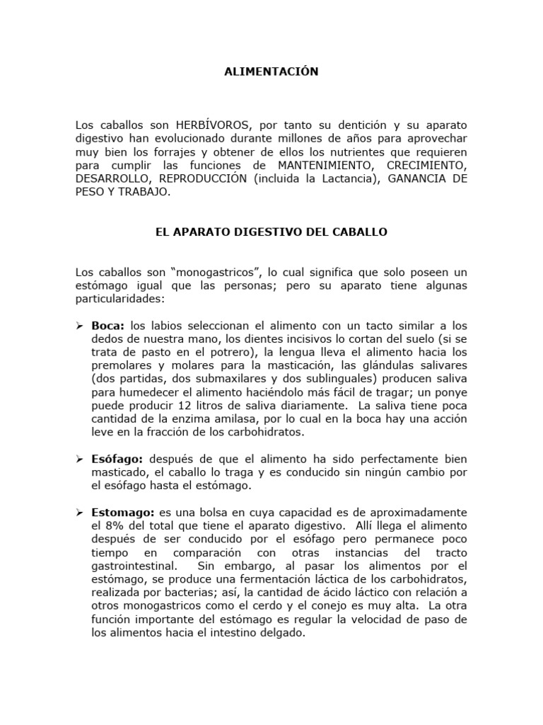 Digestión y Nutrientes en Caballos | PDF | Digestión | Sistema ...