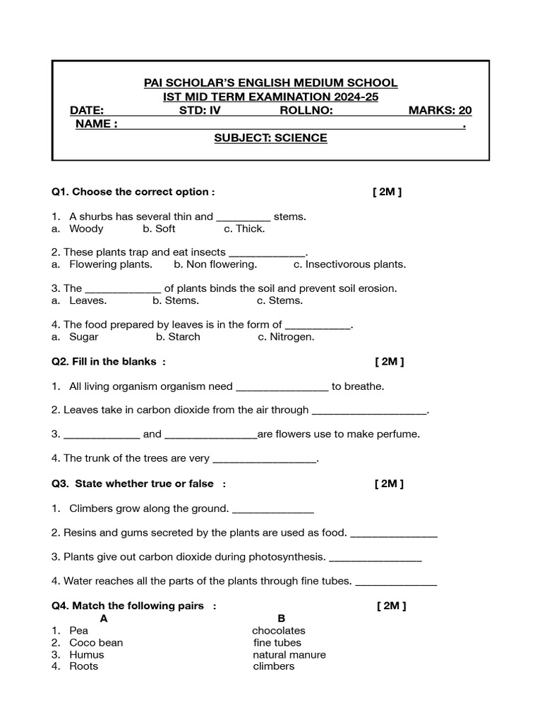 STD 4 Science | PDF | Plants | Foods