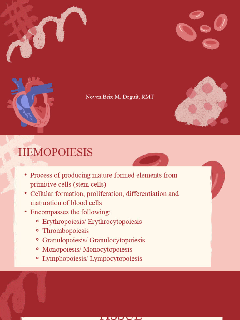 Hemopoiesis | PDF | Haematopoiesis | Bone Marrow