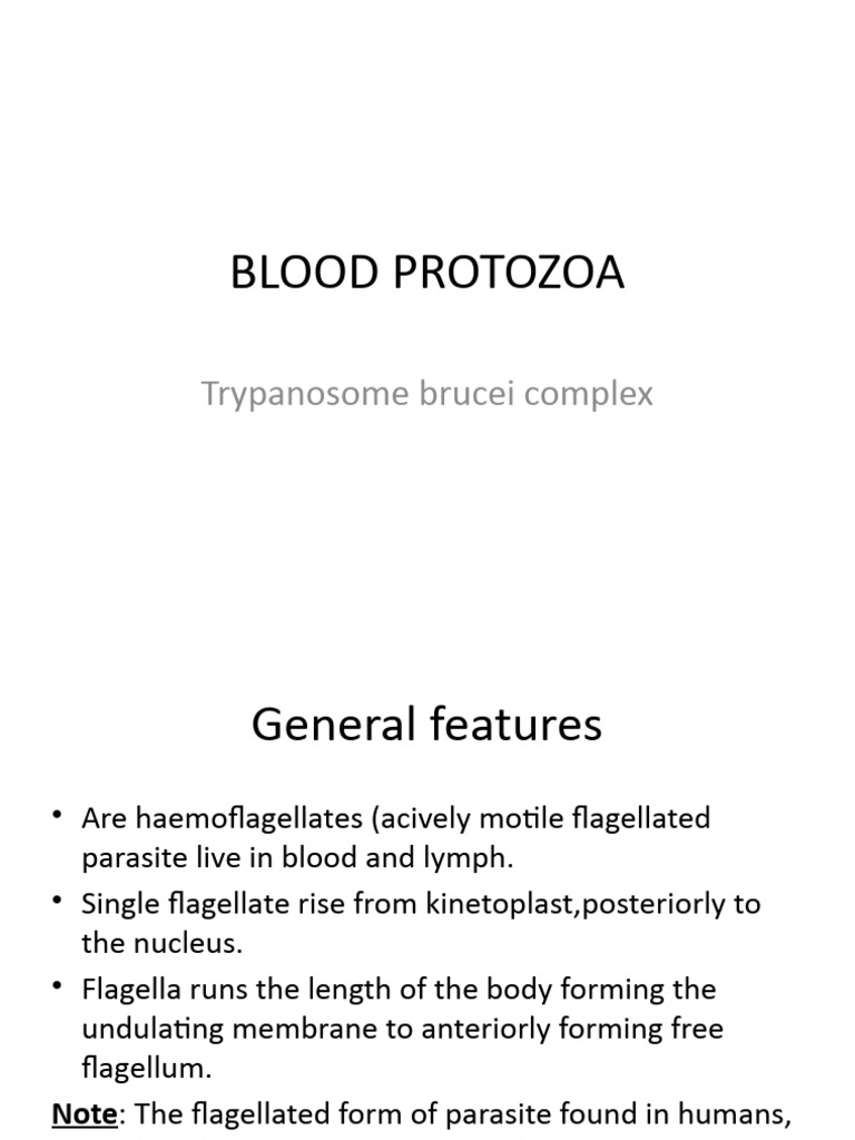 Blood Protozoa | PDF | Medical Specialties | Biology