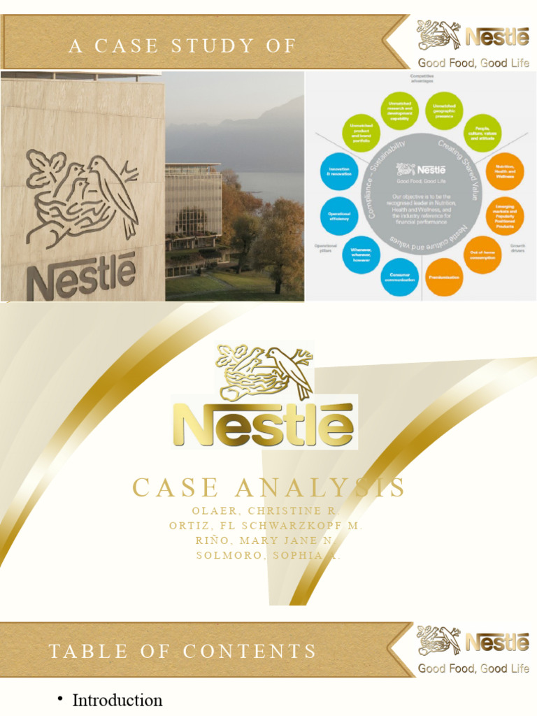 Nestle Case Study Backup | PDF | Expense | Balance Sheet