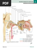 Classification des fractures de Le Fort | PDF | Otorhinolaryngologie ...