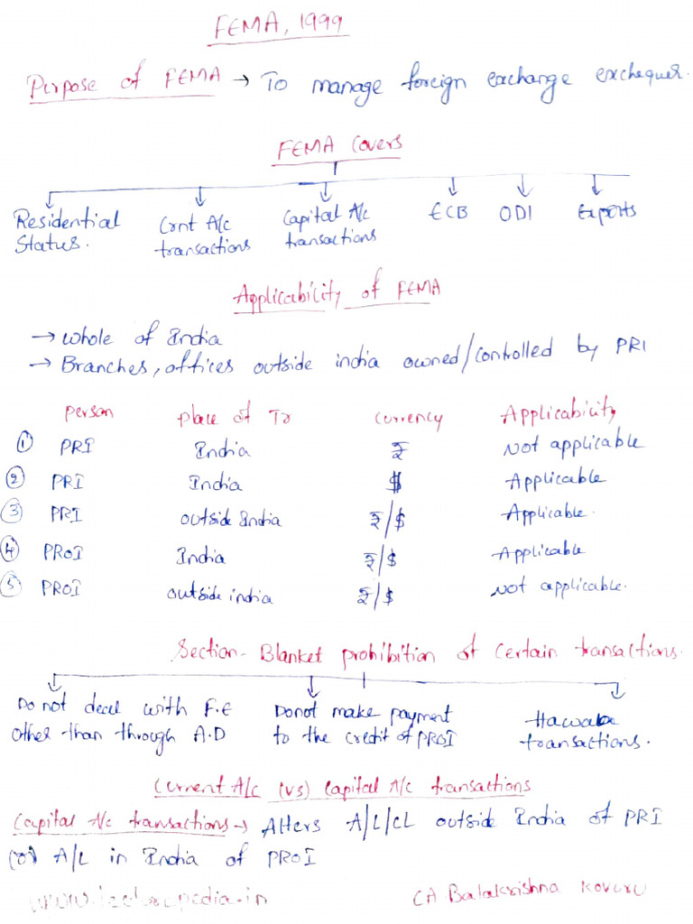 FEMA Handwritten Notes | PDF