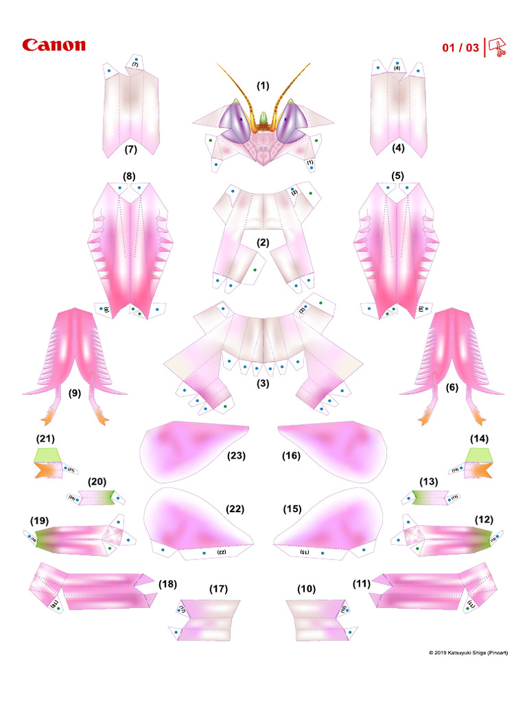 CNT 0026701 01 | PDF