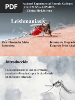 Prueba de Montenegro en Leishmaniasis | PDF | Sistema inmune ...