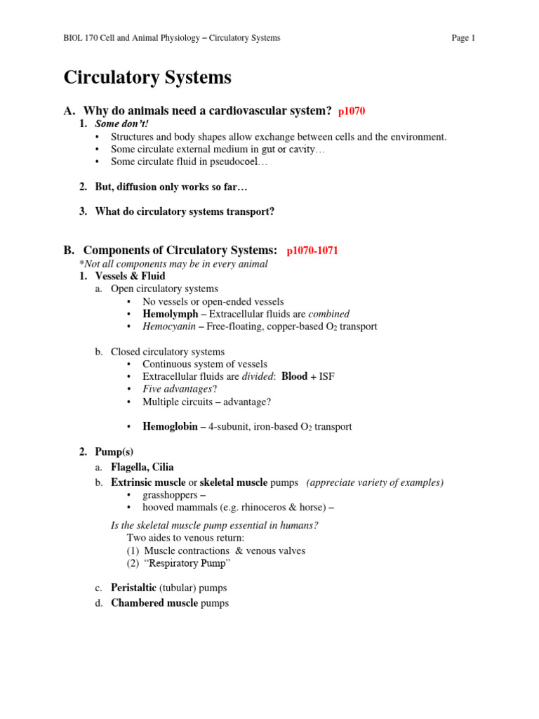 Outline - Circulatory Systems | PDF | Blood | Lung