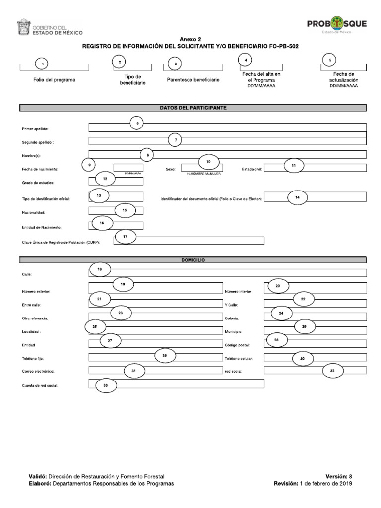Instructivo Llenado Formato Anexo 2 | PDF