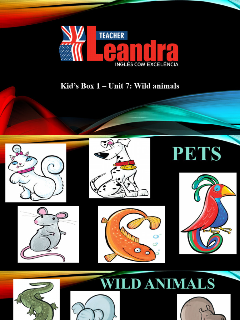 Kid's Box 1 - Unit 7 | PDF