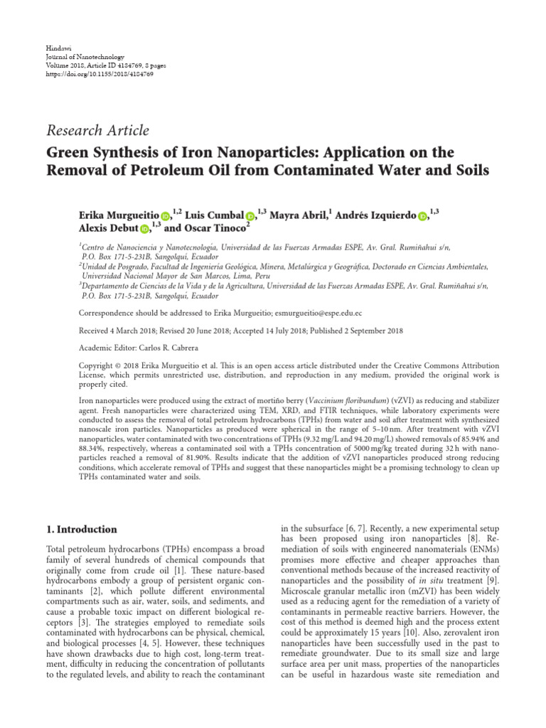 Green Synthesis of Iron Nanoparticles Application | PDF | Environmental ...