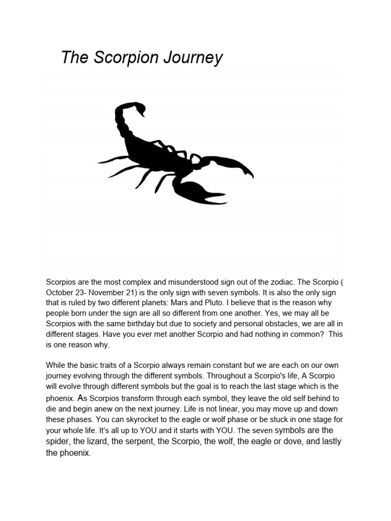 The Scorpion Journey | PDF | Predation | Spider