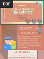 Tipos de Aduanas en México | PDF | aduana | México