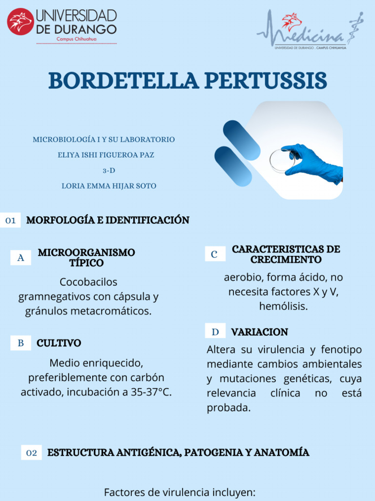 28 Bordetella Pertussis | PDF