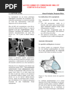 Classification des fractures de Le Fort | PDF | Otorhinolaryngologie ...