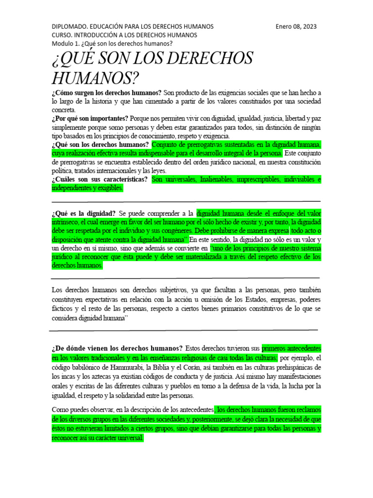 Qué Son Los Derechos Humanos | PDF | Derechos humanos | Derechos